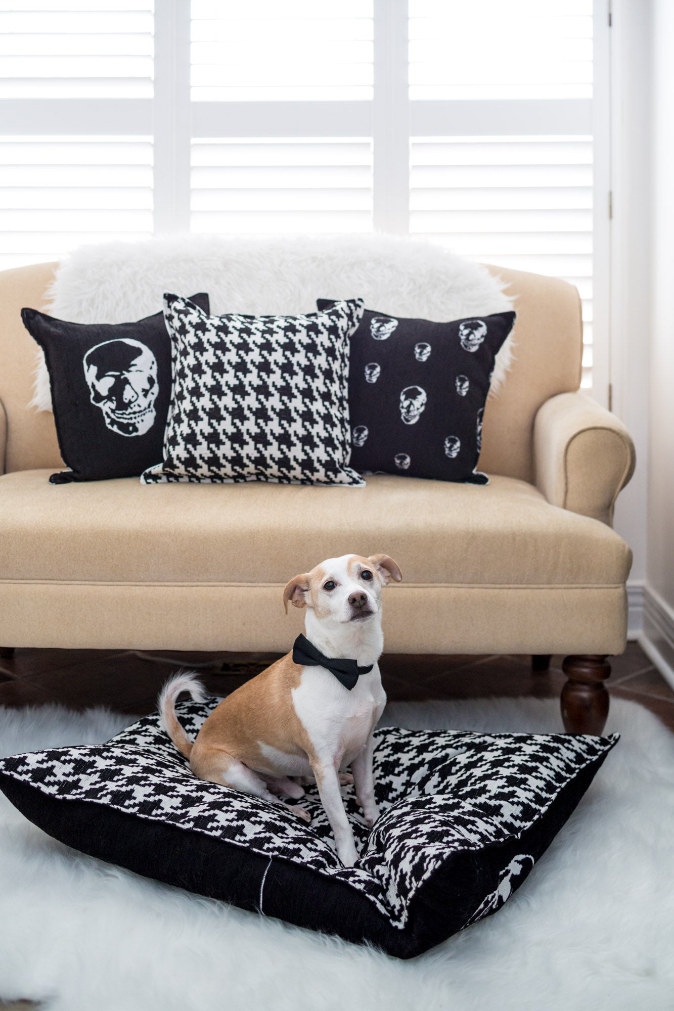 Alcorn Home | Skull Pillow – AlcornHome